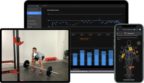 Athlete Management Systems - AMS Explained - CoachMePlus