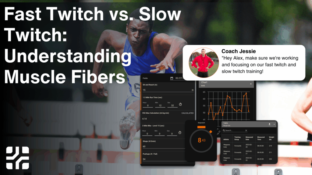 Fast Twitch vs. Slow Twitch: Understanding Muscle Fibers - CoachMePlus
